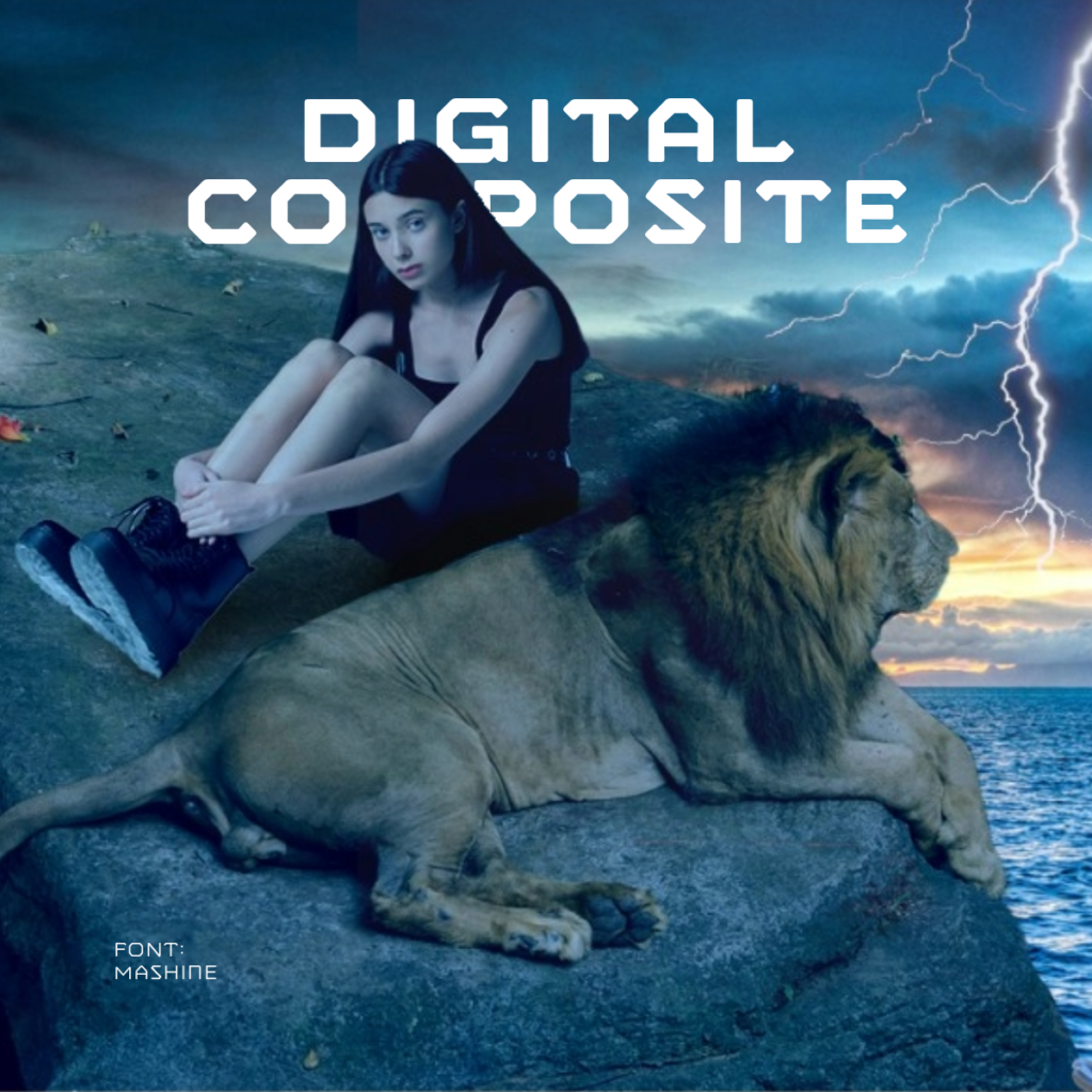 The Art of Digital Composite – Specializing in Custom Graphics